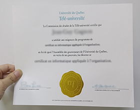 Where can I buy a Université TÉLUQ diploma? - replicatediploma.com