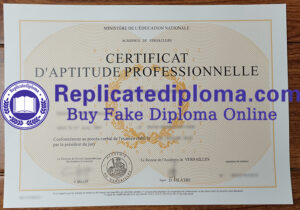 How much to buy Certificat d'aptitude professionnelle online ...